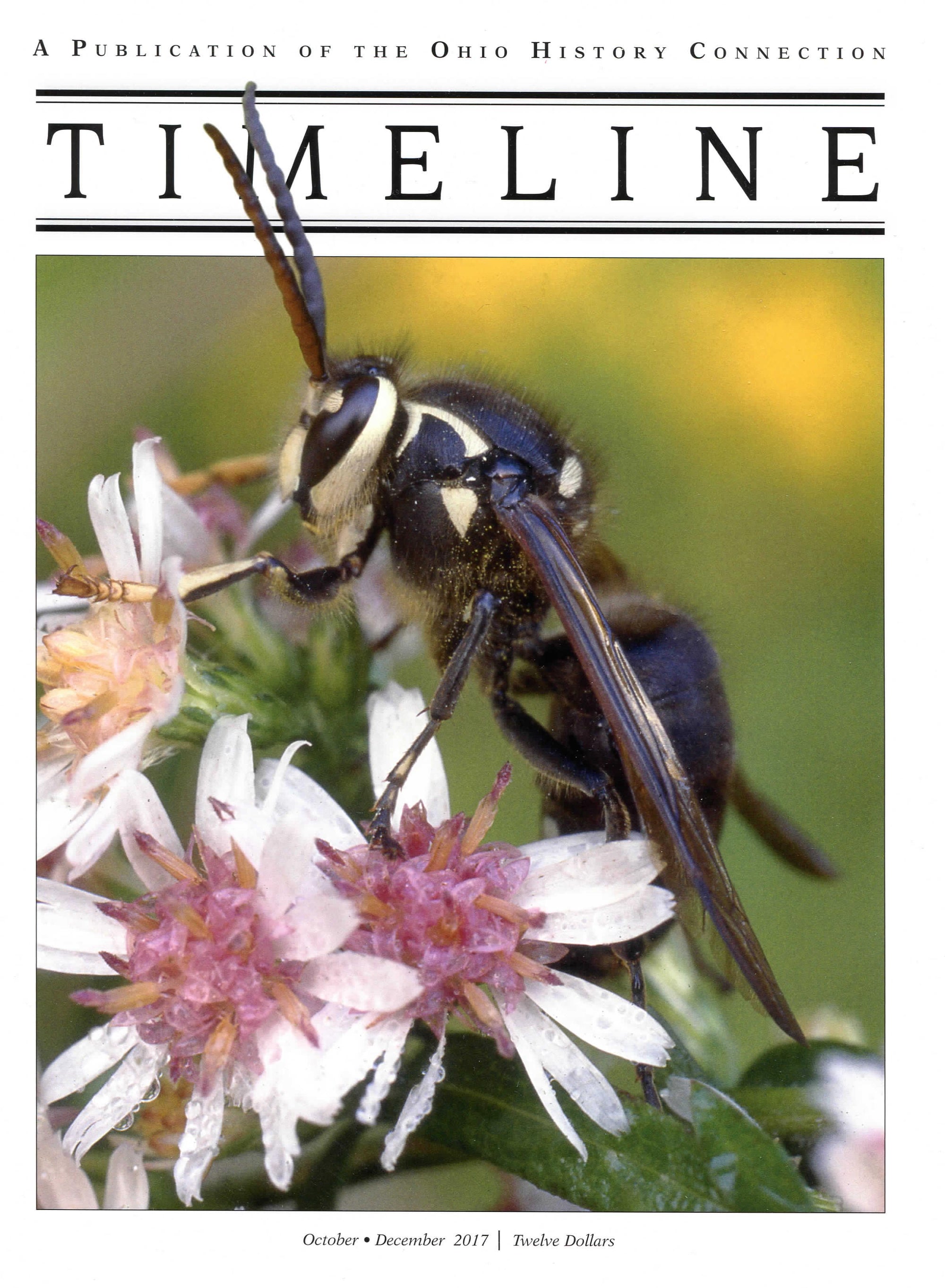 TIMELINE Magazine | Ohio History Store