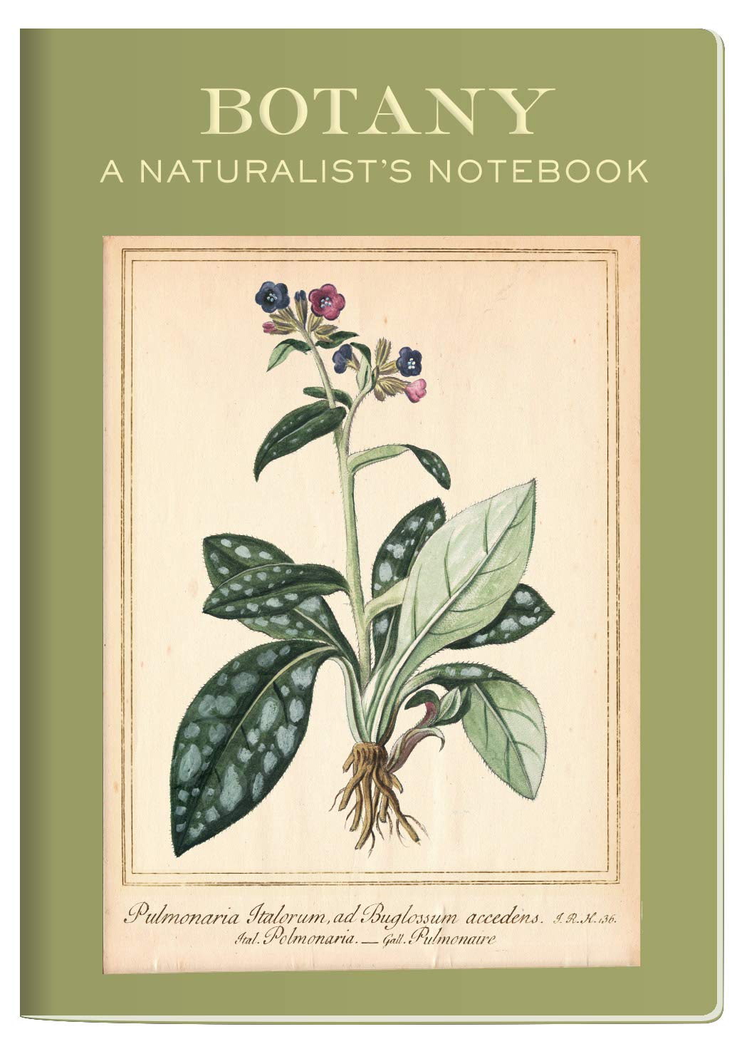 Botany Naturalist's Notebook | Ohio History Store