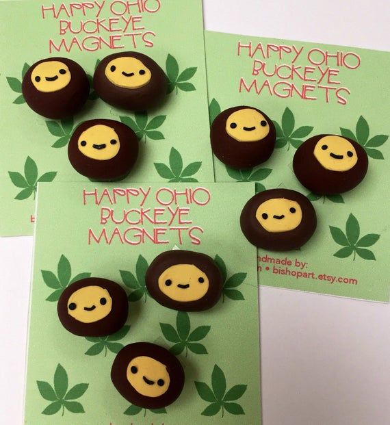 Happy Ohio Buckeye Magnets (3 pack) | Ohio History Store