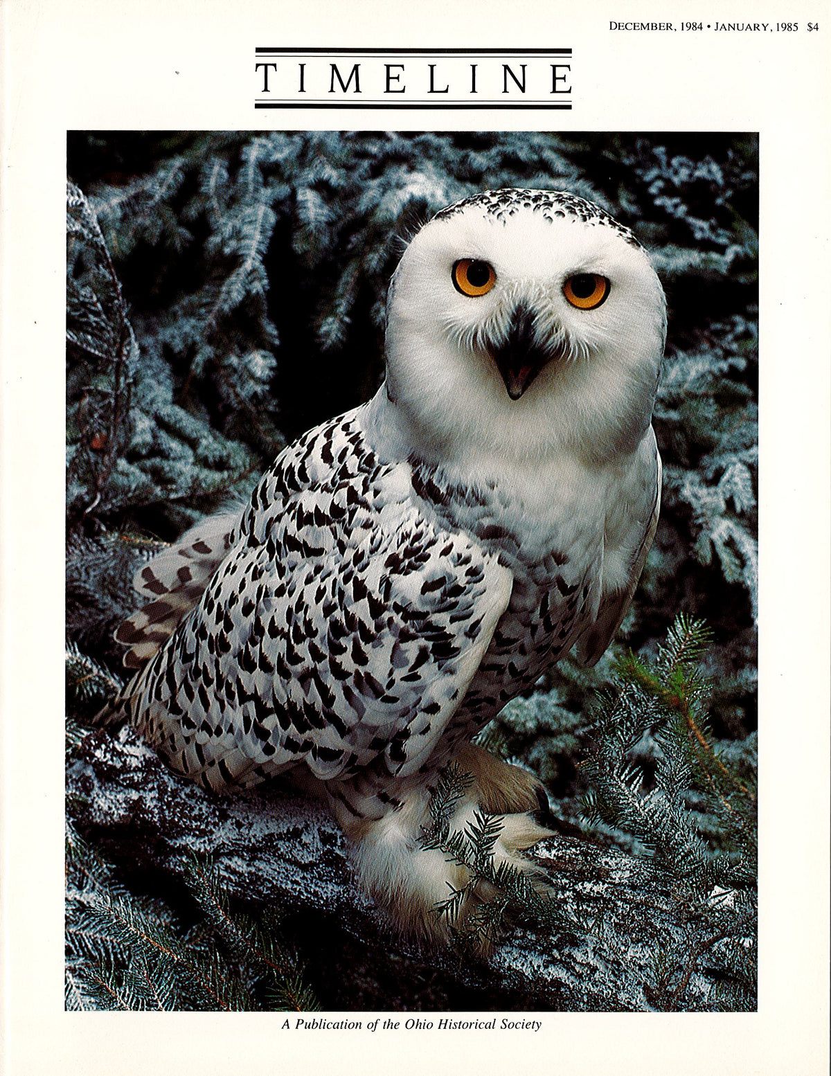 1984 Dec/Jan Timeline Magazine | Ohio History Store