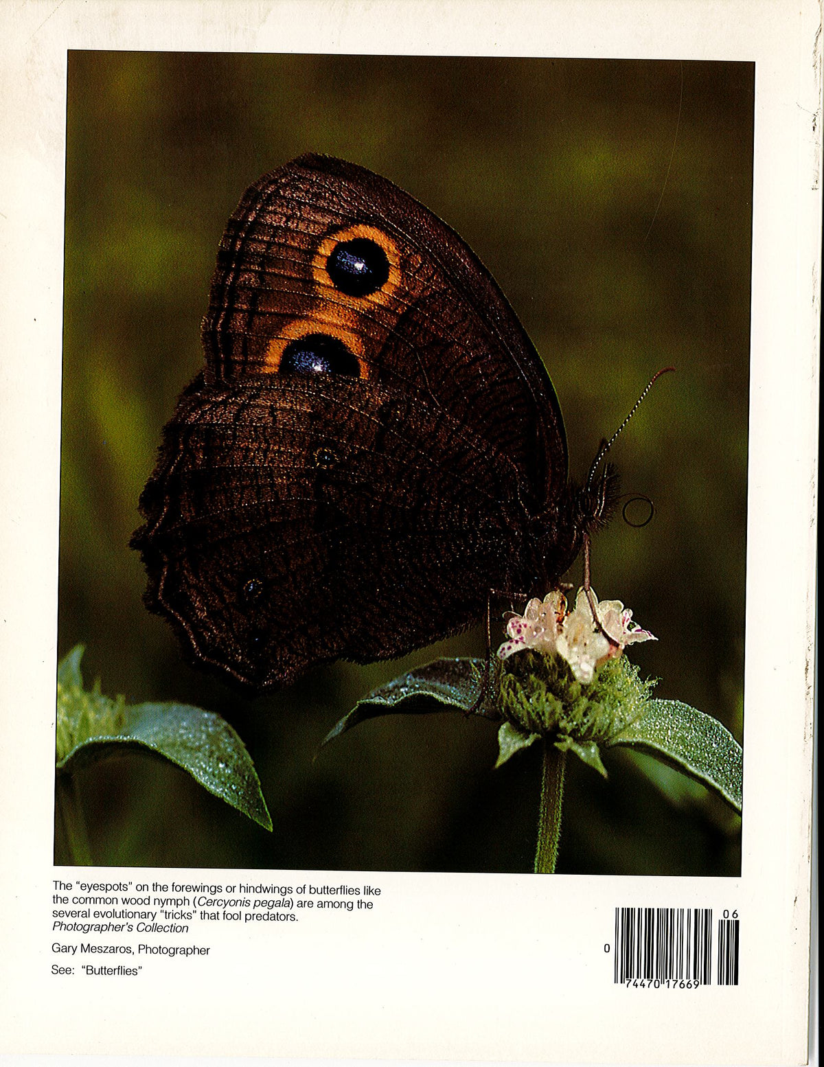 1991 June/July Timeline Magazine | Ohio History Store