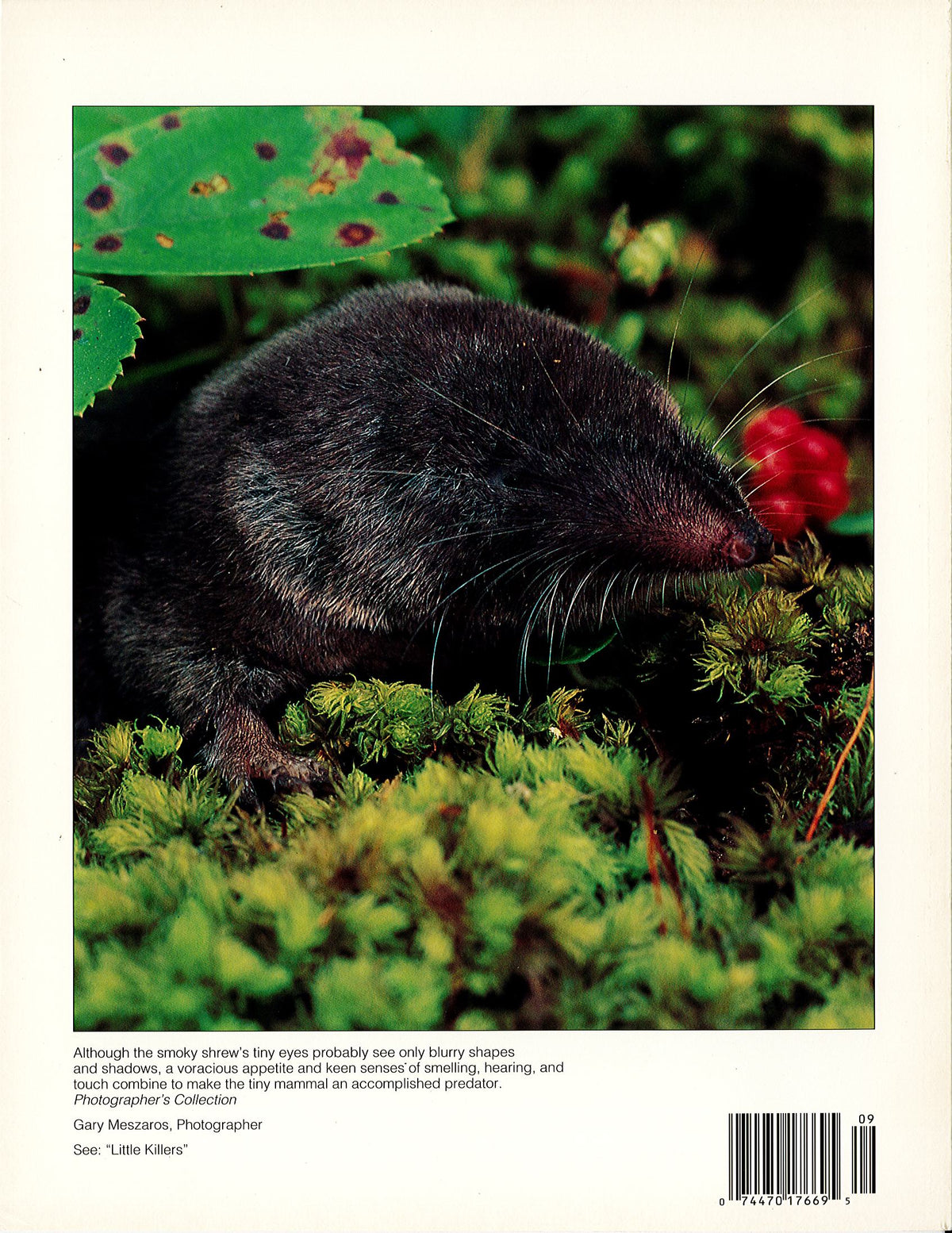 1997 Sept/Oct Timeline Magazine | Ohio History Store